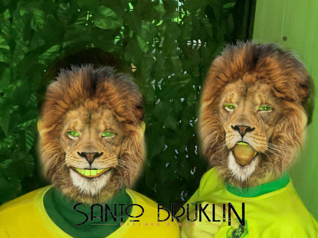 Gallery – Velvet Turtle Events